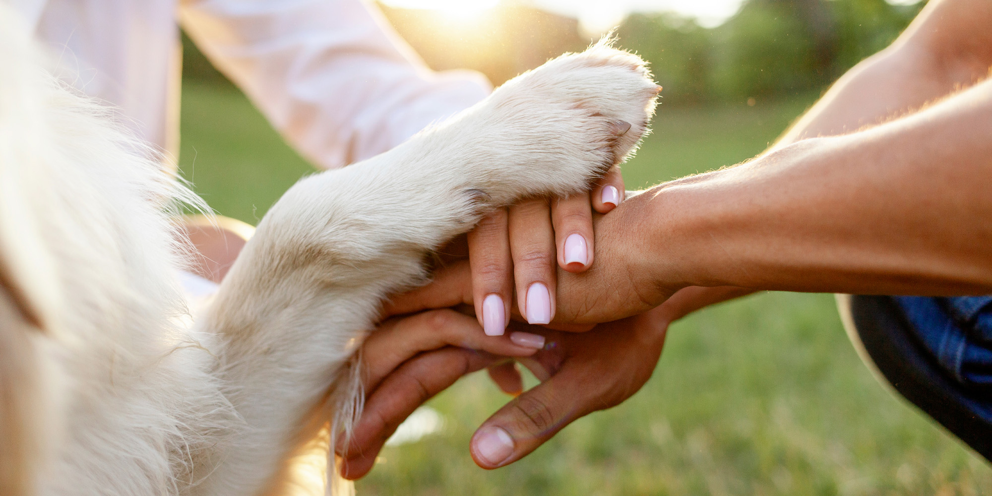 La nuova relazione uomo–animale nell’era digitale: come cambia il ...